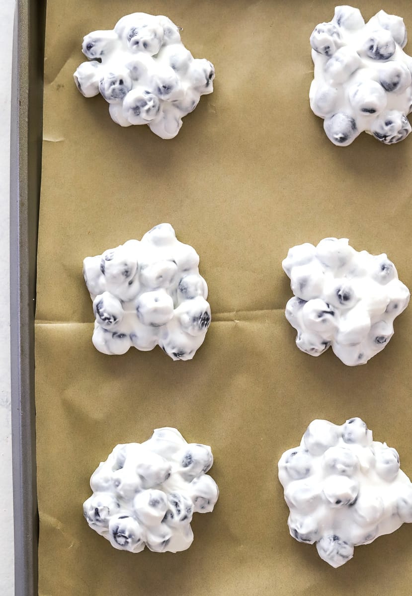 3 Ingredient Blueberry Yogurt Clusters - Viral Recipe - Pinch Me Good